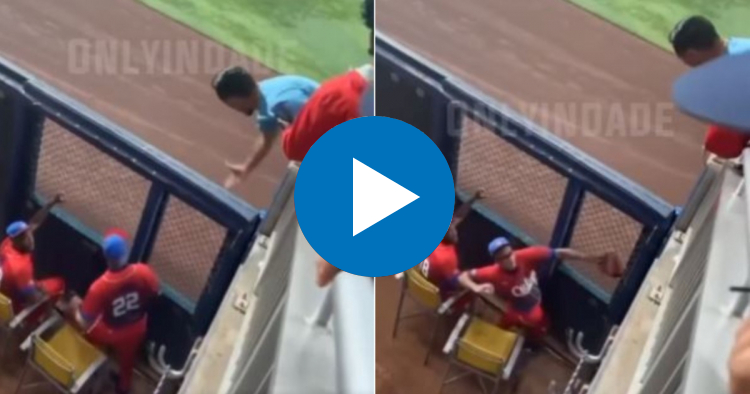 Pitcher pinareño Frank Álvarez lanza pelotazo a aficionado que lo ...