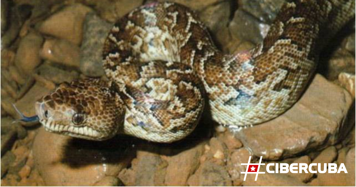 Maja de Santa María - CiberCuba