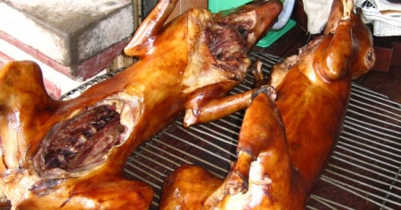 Comienza en China el Festival de la carne de perro en la ciudad de Yulin