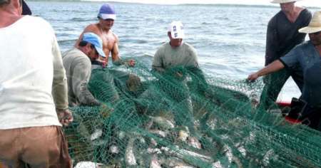 Gobierno reconoce que la pesca en Cuba “no se va a recuperar”