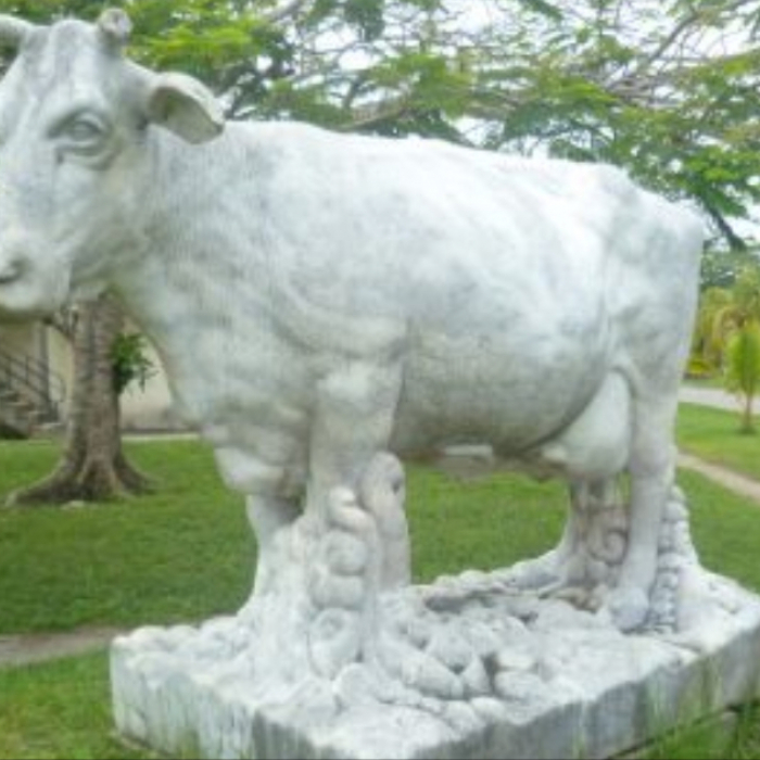 Ubre Blanca - Forocoches