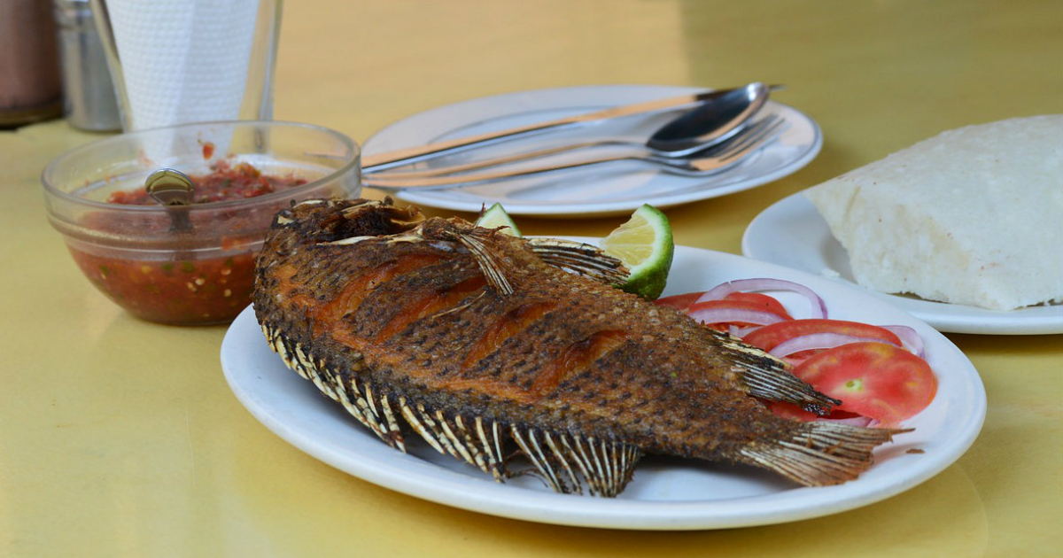 Recipe for Fried Fish - CiberCuba Kitchen