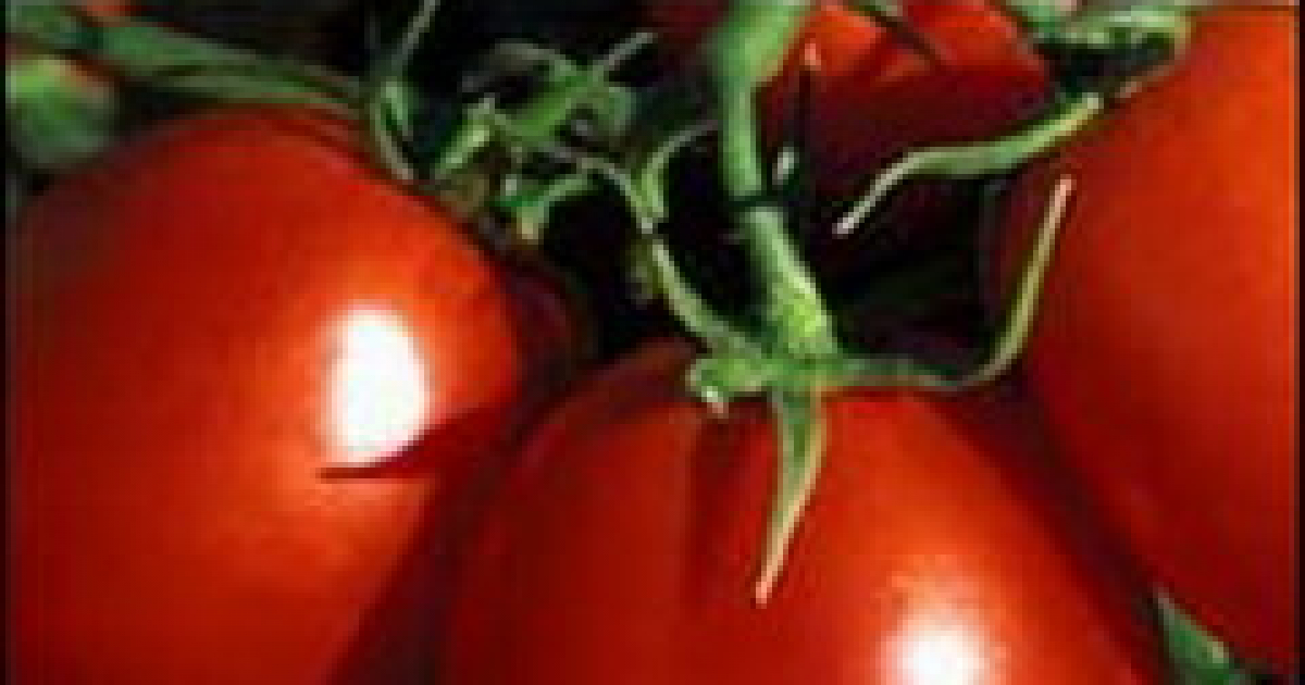 Recipe for Tomatoes with Bacon - CiberCuba Kitchen